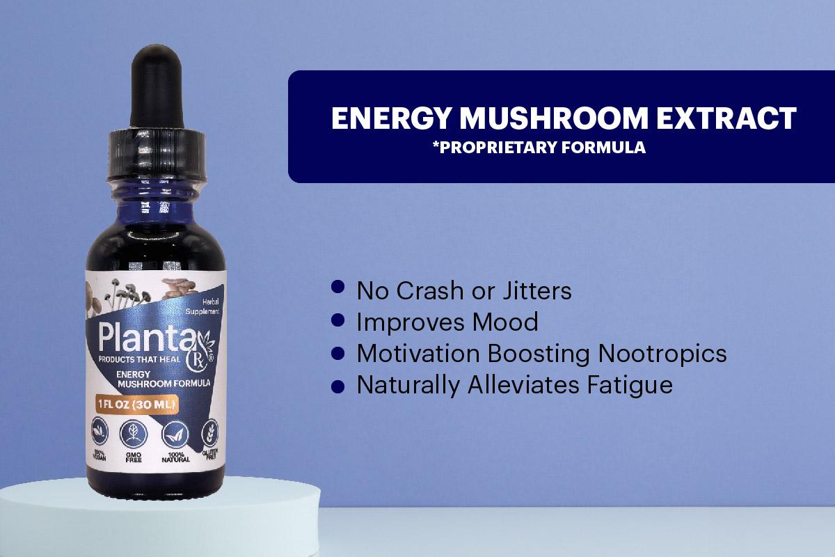 Sustainable Energy Unveiling PlantaRx® Energy Mushroom Blend - Cbd Plus ...